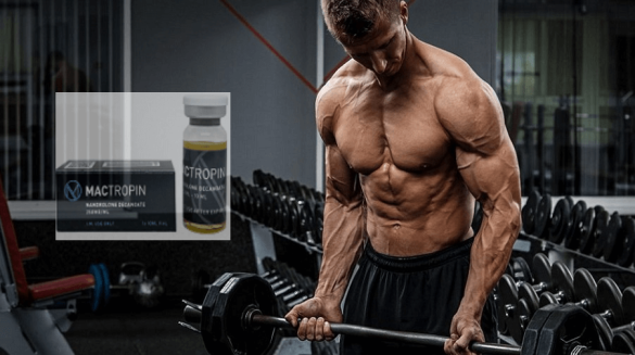 Deca-durabolin Cycle • WikiStero • The Anabolic Steroids Bible