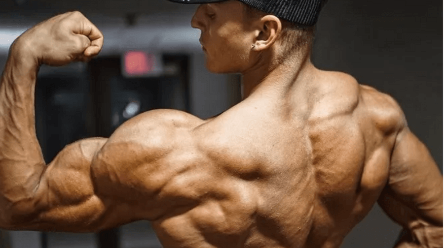 Proviron Only Cycle: The Complete Guide on Anabolic Steroids ...