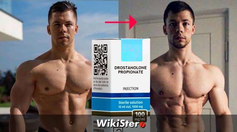 Masteron Cycle: Before and After effects | WikiStero - The Bible of ...