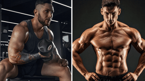 5 SARMs Bulking and Cutting Cycle Stack | WikiStero - The Bible of ...