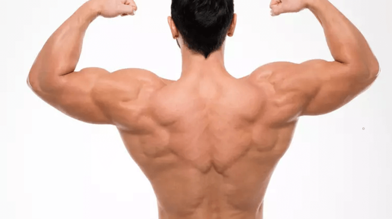 The importance of PCT (Post Therapy Cycle) during a steroid cycle ...