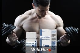 Masteron Cycle: Before and After effects | WikiStero - The Bible of ...